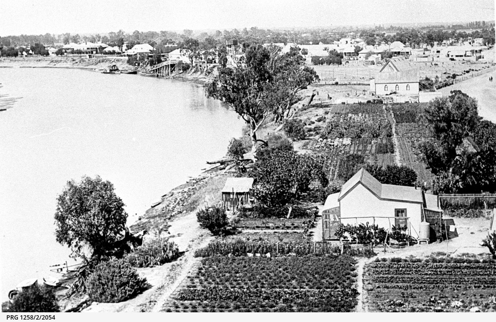 Renmark viewed from upstream • Photograph • State Library of South ...