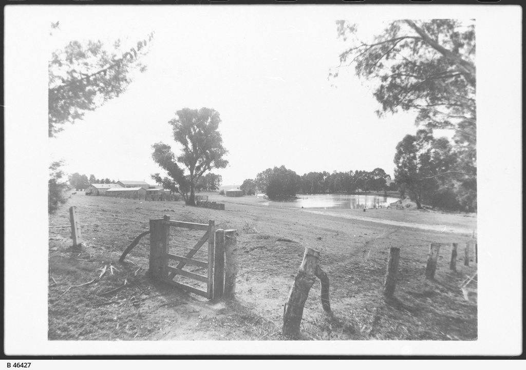 Martindale Hall, Mintaro • Photograph • State Library of South Australia