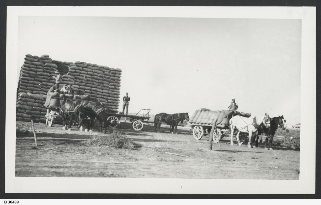 Port Victoria • Photograph • State Library of South Australia