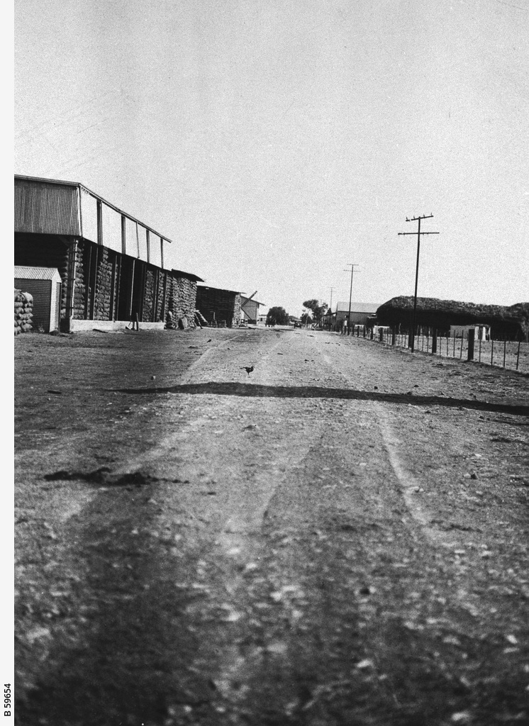 Haystack and wheat stacks at Mallala • Photograph • State Library of ...