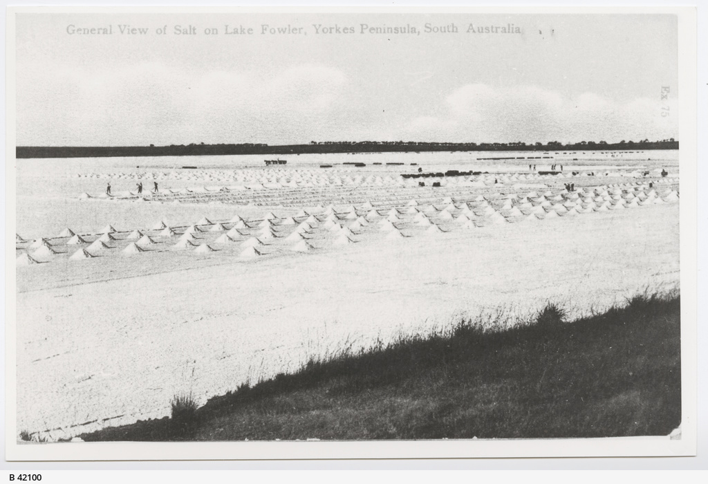Salt heaps, Lake Fowler • Photograph • State Library of South Australia