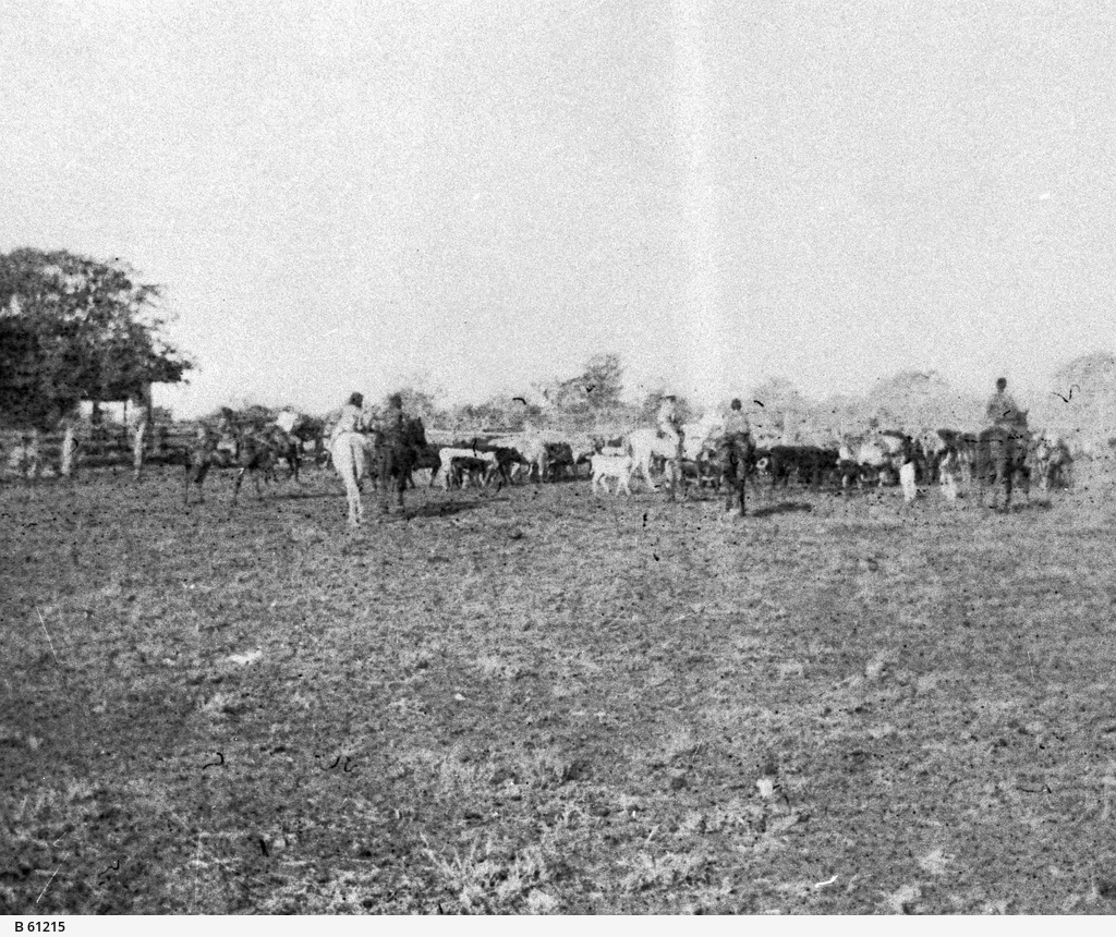 Yeeda Cattle Station near Derby Western Australia • Photograph • State ...