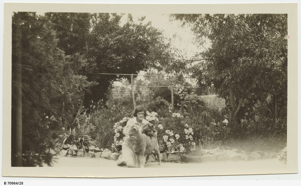 Alison Ashby with a cat and pet lamb in Wittunga farm garden ...