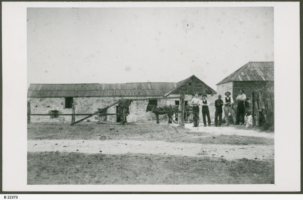 Tannery at Port MacDonnell • Photograph • State Library of South Australia