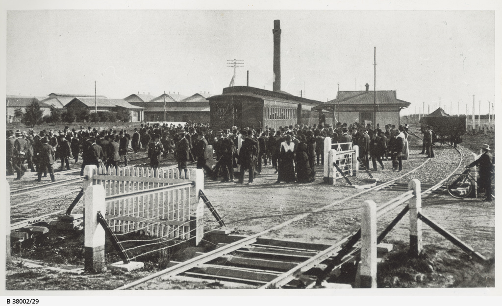 Gepps Cross Abattoir : Railway station • Photograph • State Library of ...
