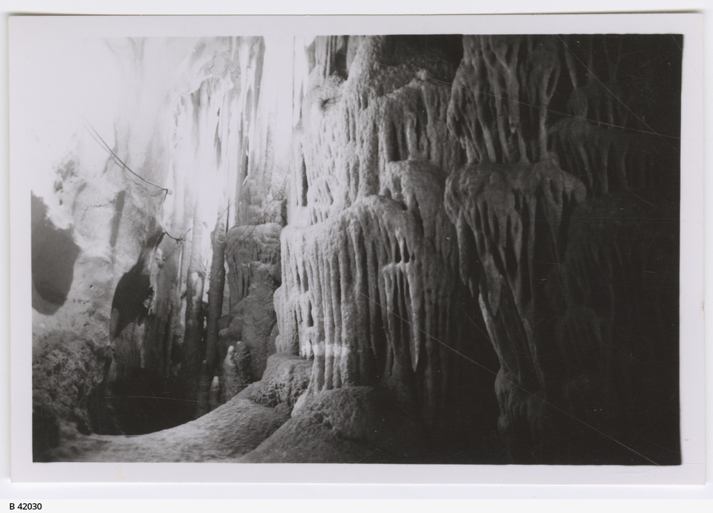 Tantanoola caves • Photograph • State Library of South Australia