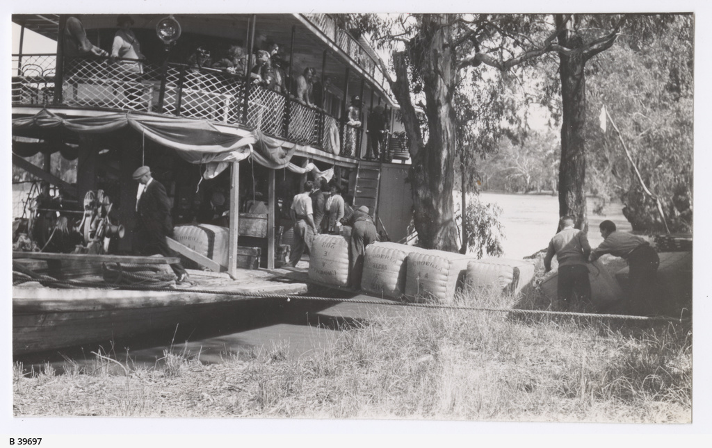 Chowilla Station • Photograph • State Library of South Australia