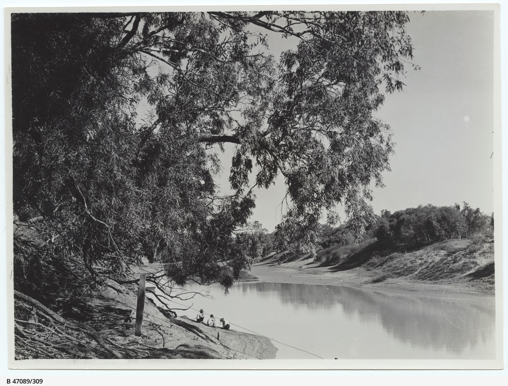 Western Queensland • Photograph • State Library of South Australia