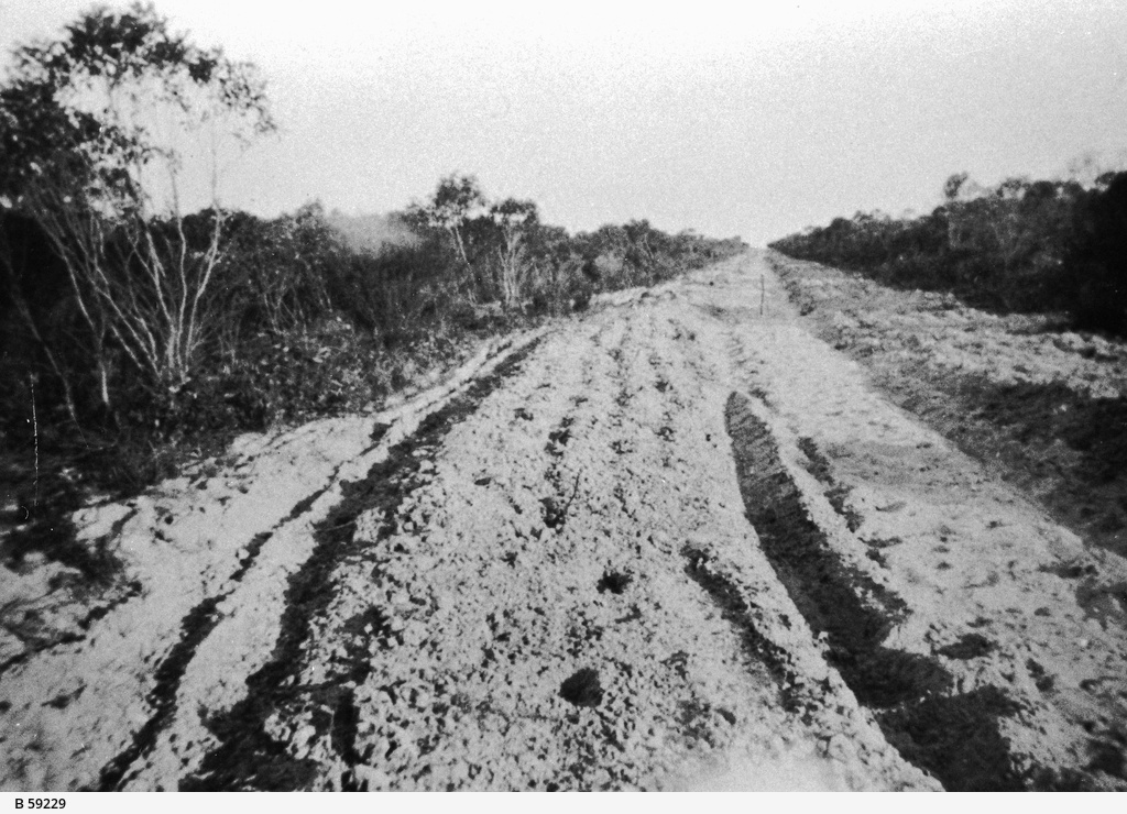 Original road between Coomandook and Yumali • Photograph • State ...