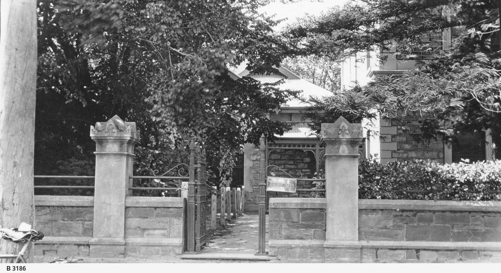 Angas Street • Photograph • State Library of South Australia