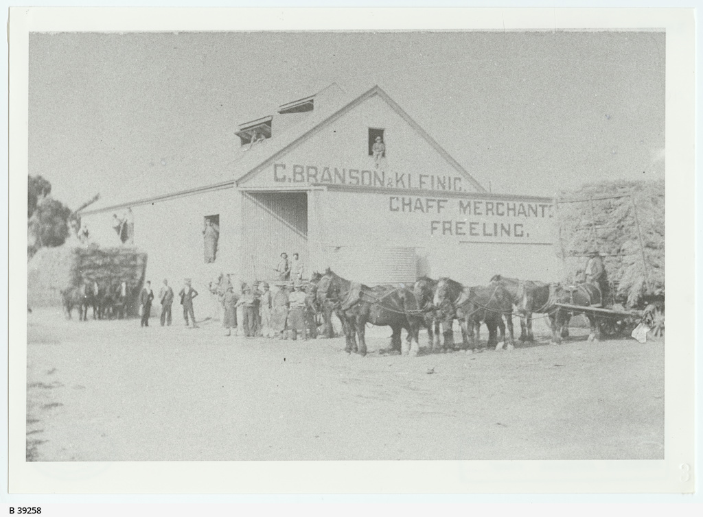 Freeling • Photograph • State Library of South Australia