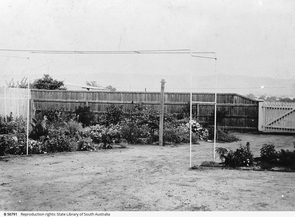 Garden of 44 Walkerville Terrace, Gilberton • Photograph • State ...