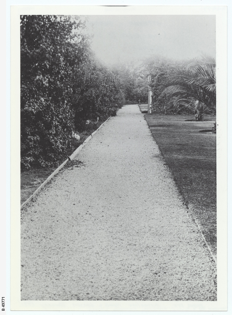 "Attunga", Burnside • Photograph • State Library of South Australia