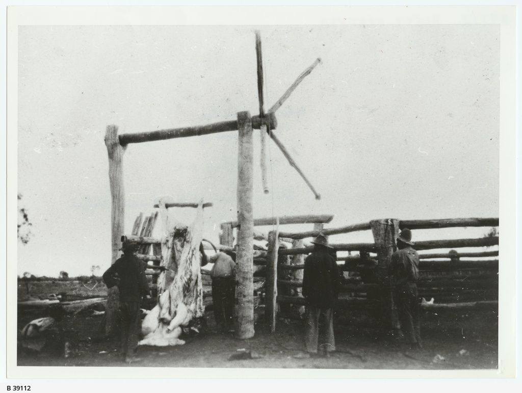 Coniston Station • Photograph • State Library of South Australia