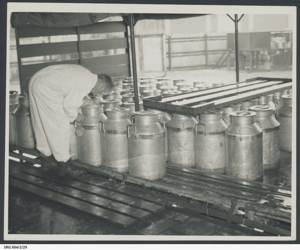 Milk grading at SA Farmers' Co-Op Union Ltd. Dairy Produce Department ...