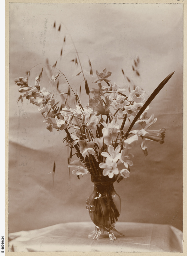 Album of photographs of the Radcliffe family and their surrounds ...