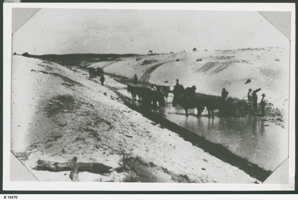 Millicent • Photograph • State Library of South Australia