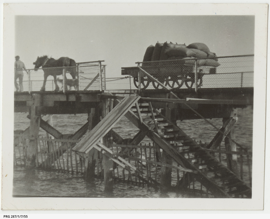 'Jetty, Kingscote' • Photograph • State Library of South Australia