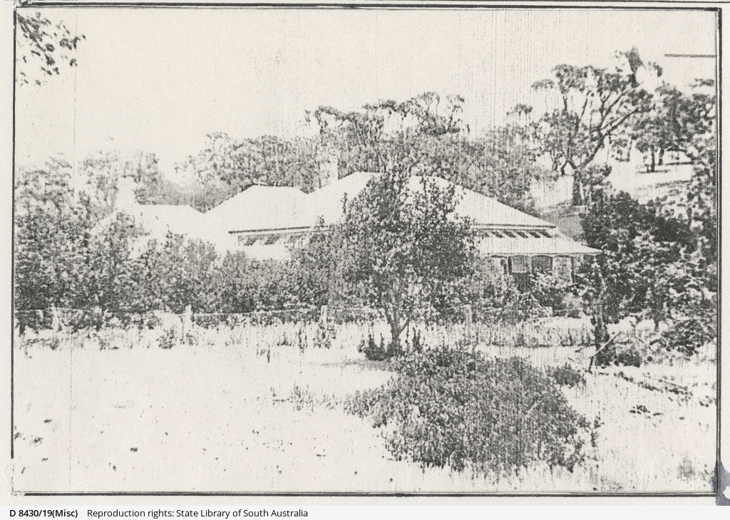 Photographs relating to the Kelly and Adamson Families • Photograph ...