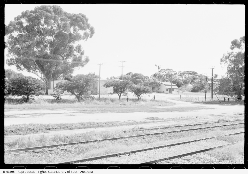 Jabuk • Photograph • State Library of South Australia