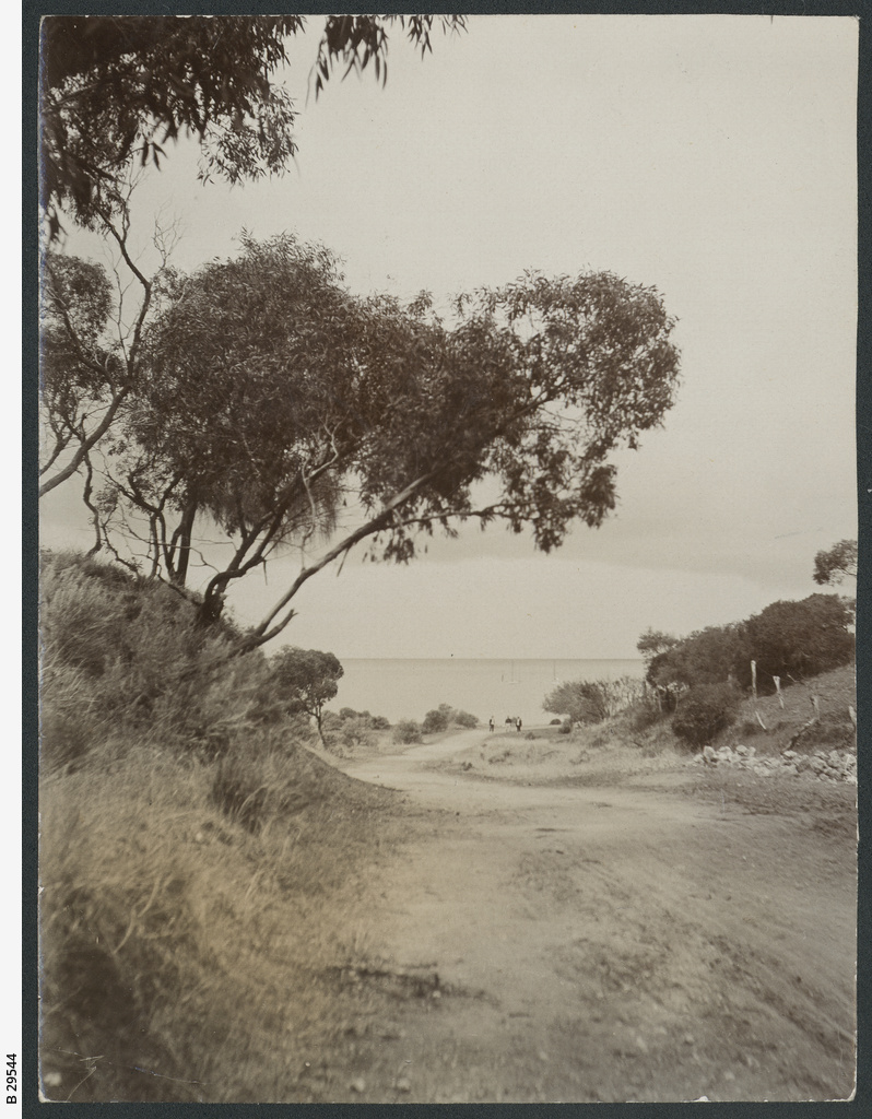 Port Vincent • Photograph • State Library of South Australia