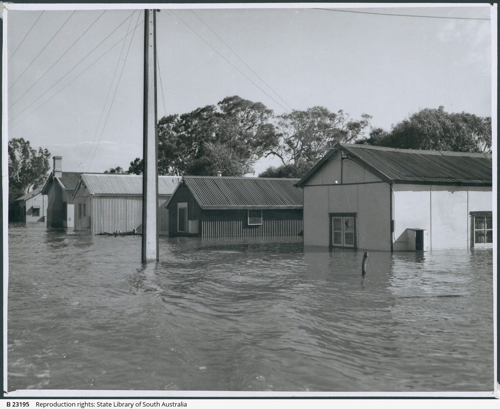 Floods at Mannum • Photograph • State Library of South Australia