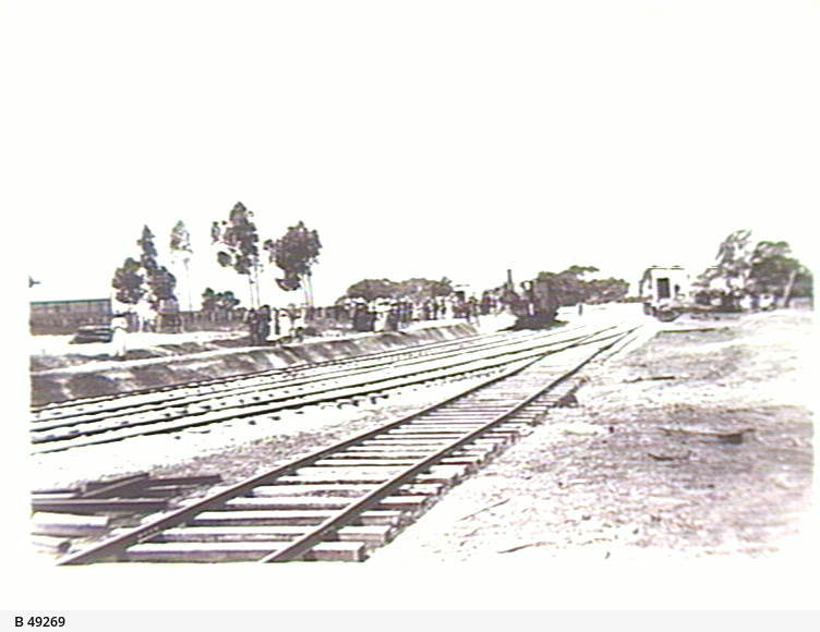 Tanunda • Photograph • State Library of South Australia
