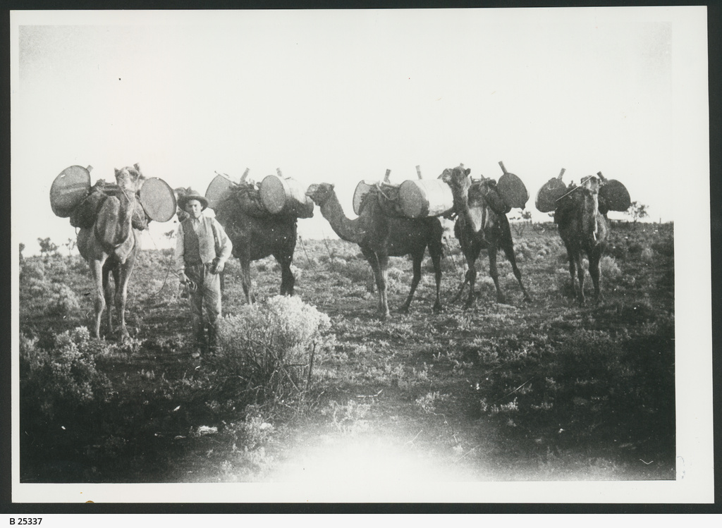 Tarcoola • Photograph • State Library of South Australia