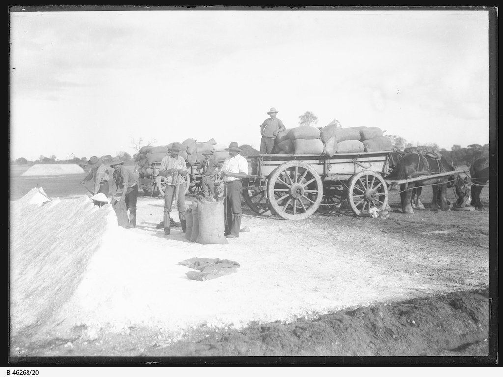 Lake Fowler Salt Workers • Photograph • State Library of South Australia