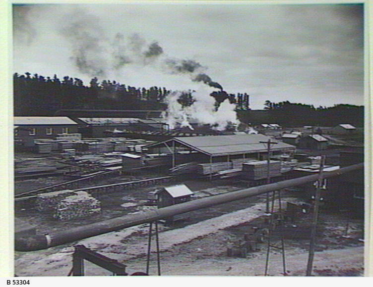 The Sawmill. Mt. Burr • Photograph • State Library of South Australia