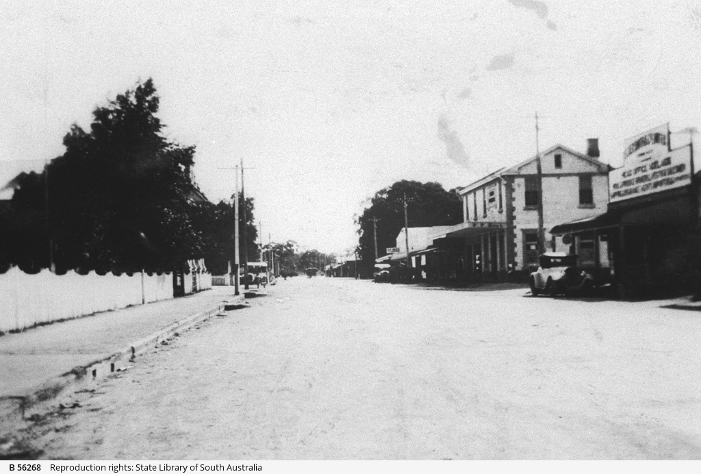 General view of Bordertown • Photograph • State Library of South Australia