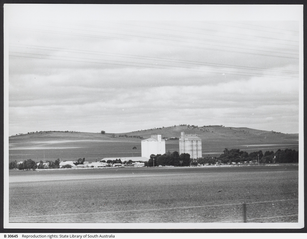 Gulnare • Photograph • State Library of South Australia