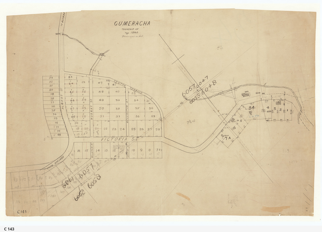 Township of Gumeracha [cartographic material] • Archival map/chart ...