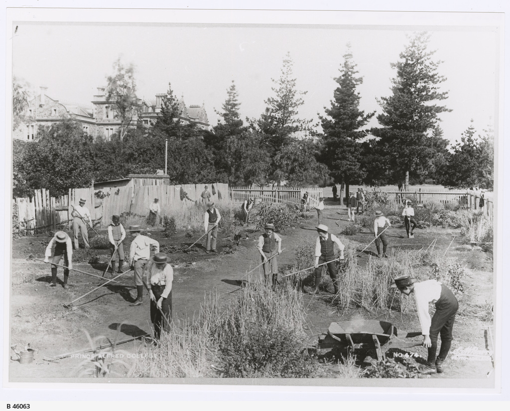 Prince Alfred College • Photograph • State Library of South Australia