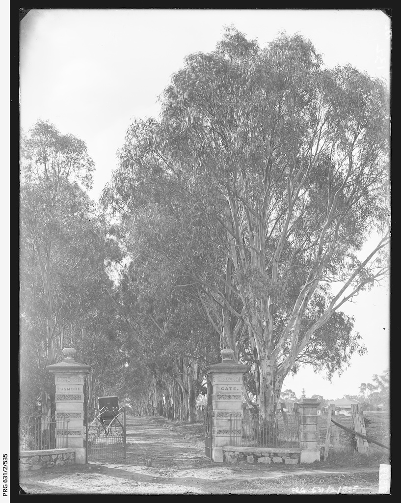 Tusmore Park • Photograph • State Library of South Australia