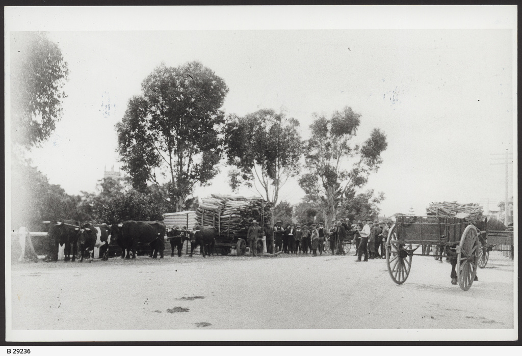 The Strathalbyn Weighbridge • Photograph • State Library of South Australia