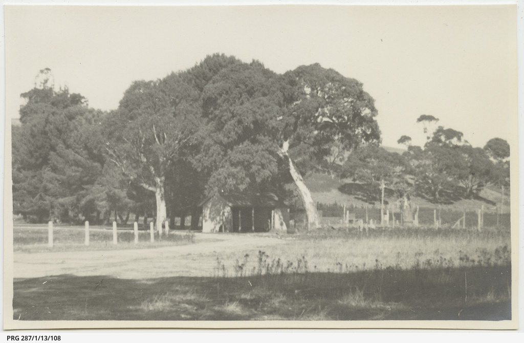 'Yankalilla - The Oval' • Photograph • State Library of South Australia