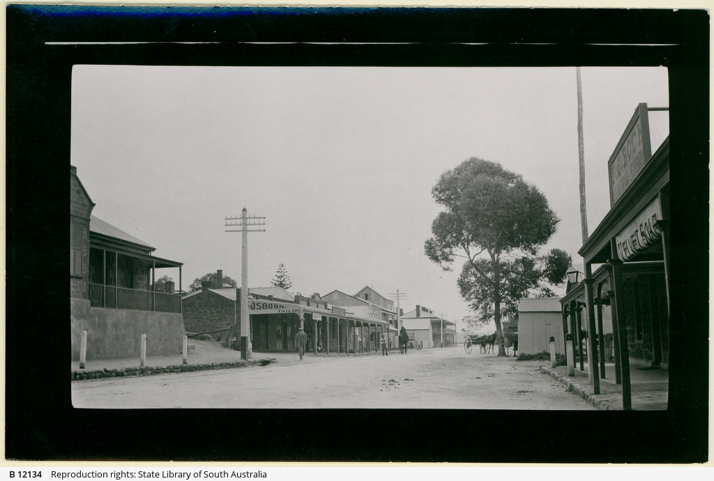 Mannum • Photograph • State Library of South Australia