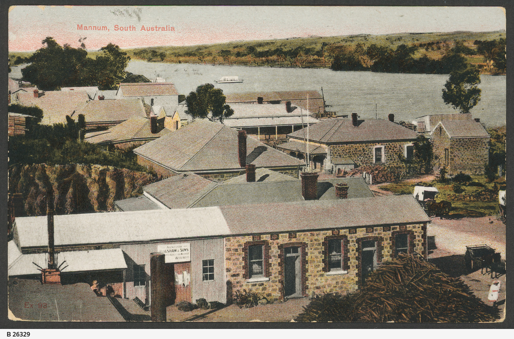 Mannum • Photograph • State Library of South Australia