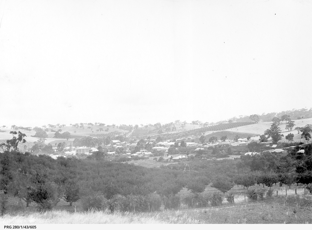 Distant view of Angaston, Barossa Valley • Photograph • State Library ...