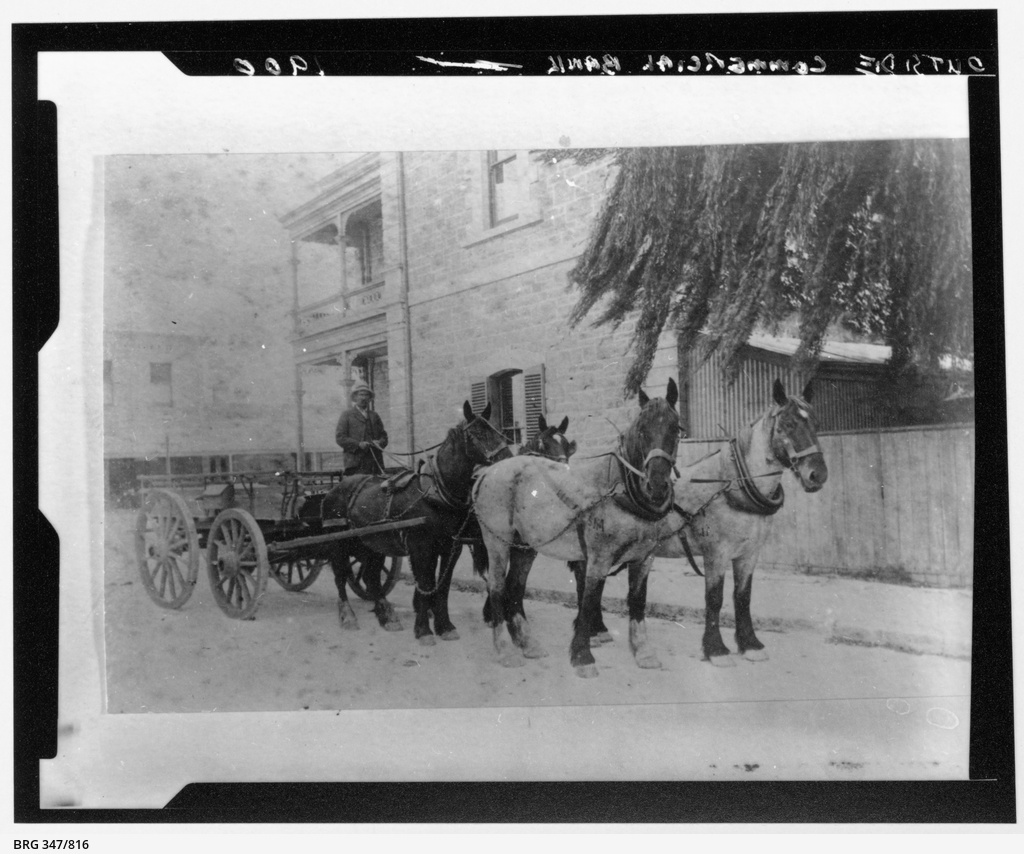 Horse Drawn Cart • Photograph • State Library of South Australia