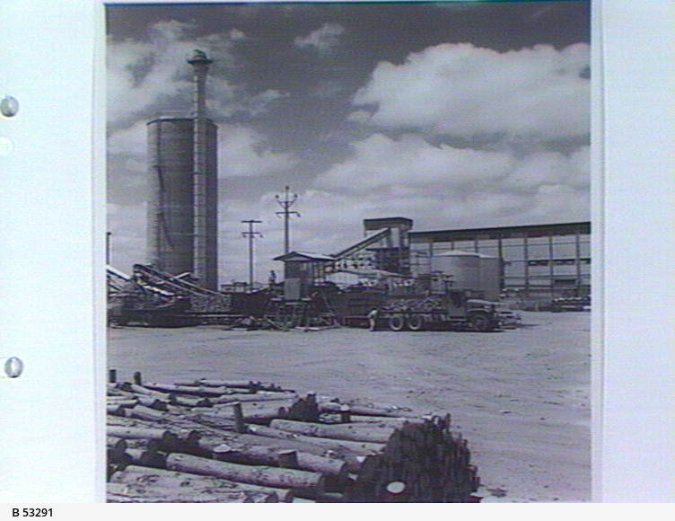 Timber Mills, Millicent • Photograph • State Library of South Australia