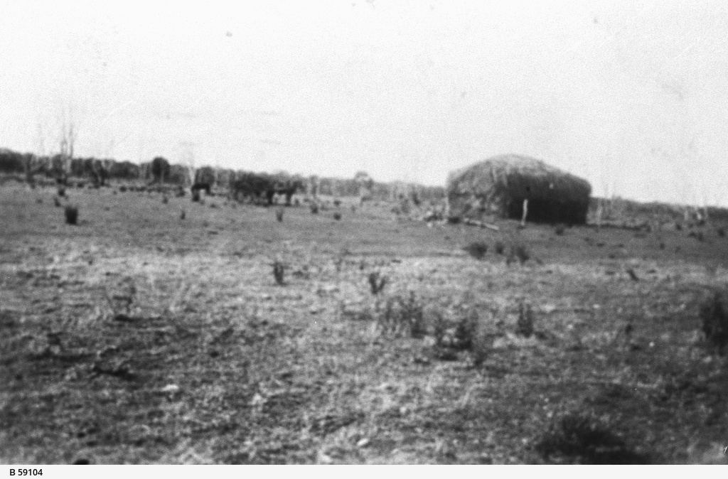 Haystack at Lucindale built by Land Army Girl, Frances Harvie ...