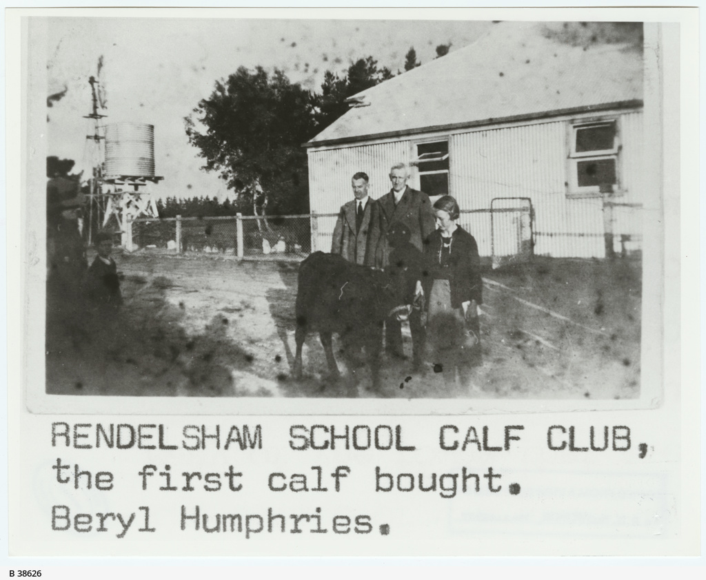 School Calf Club • Photograph • State Library of South Australia