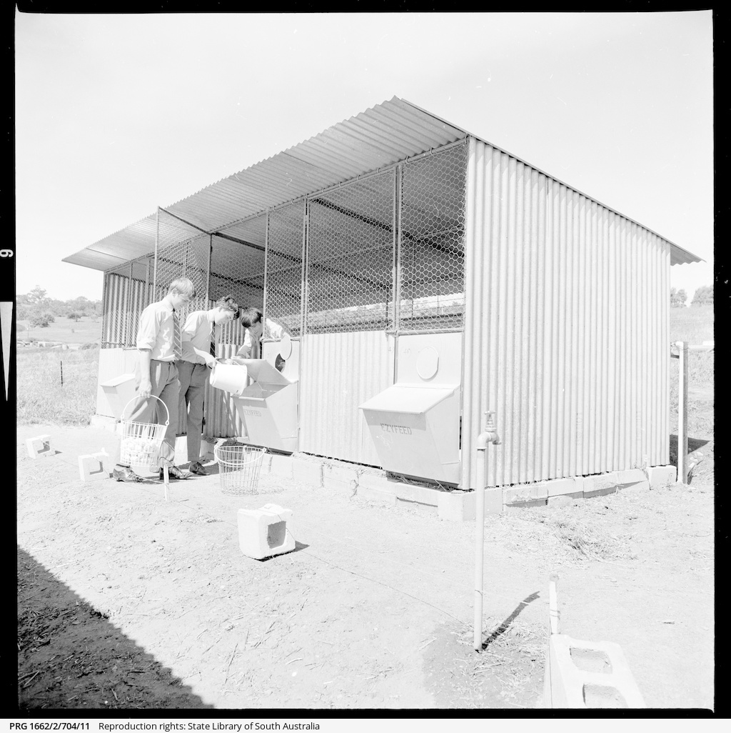 Rostrevor College • Photograph • State Library of South Australia