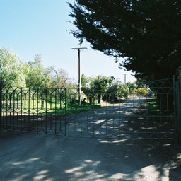 Views of Manoora • Photograph • State Library of South Australia