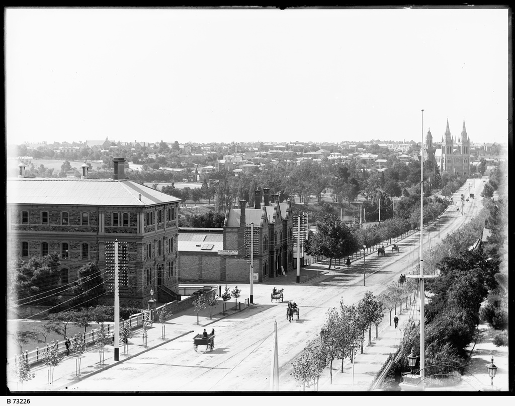 King William Road, Adelaide • Photograph • State Library of South Australia