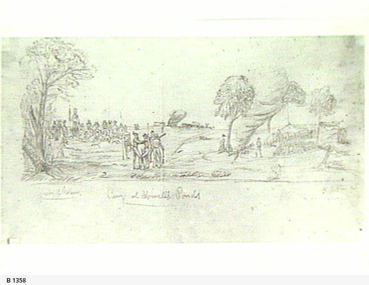 J. McD. Stuart Expeditions • Photograph • State Library of South Australia