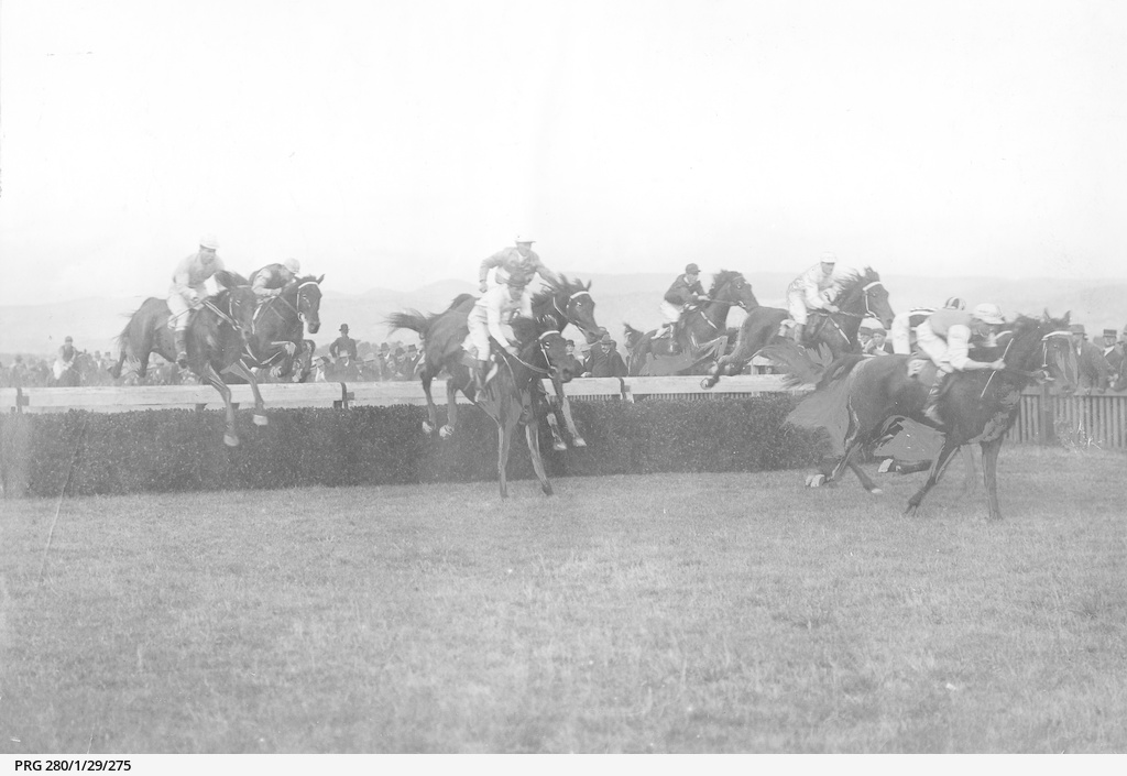 Horse-racing in Adelaide • Photograph • State Library of South Australia