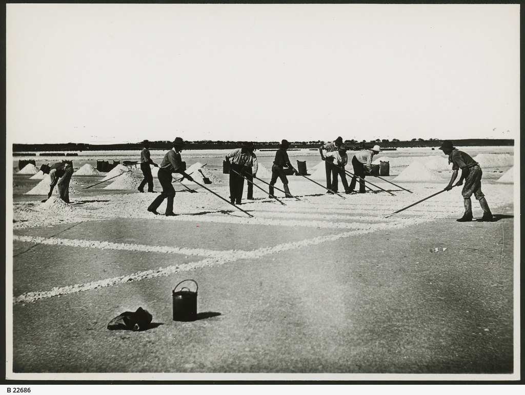 Salt Scraping • Photograph • State Library of South Australia